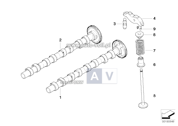 11347807347 Uszczelniacze zaworu BMW E60N E83N E84 E60 E91 F10 ...
